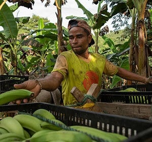 Acumen | Investing in Change to End Poverty