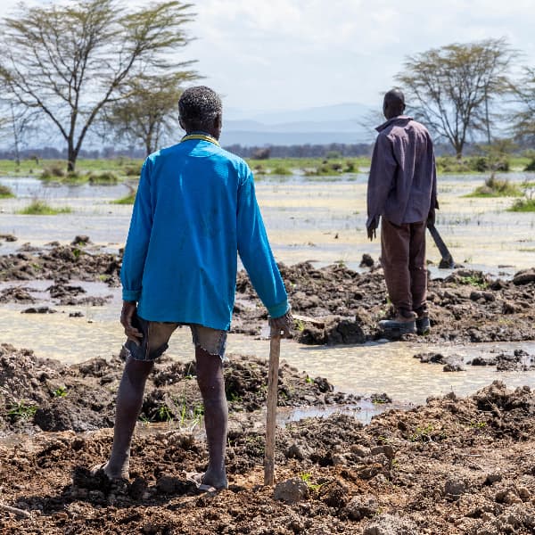 Acumen's Resilient. Farmers. Report